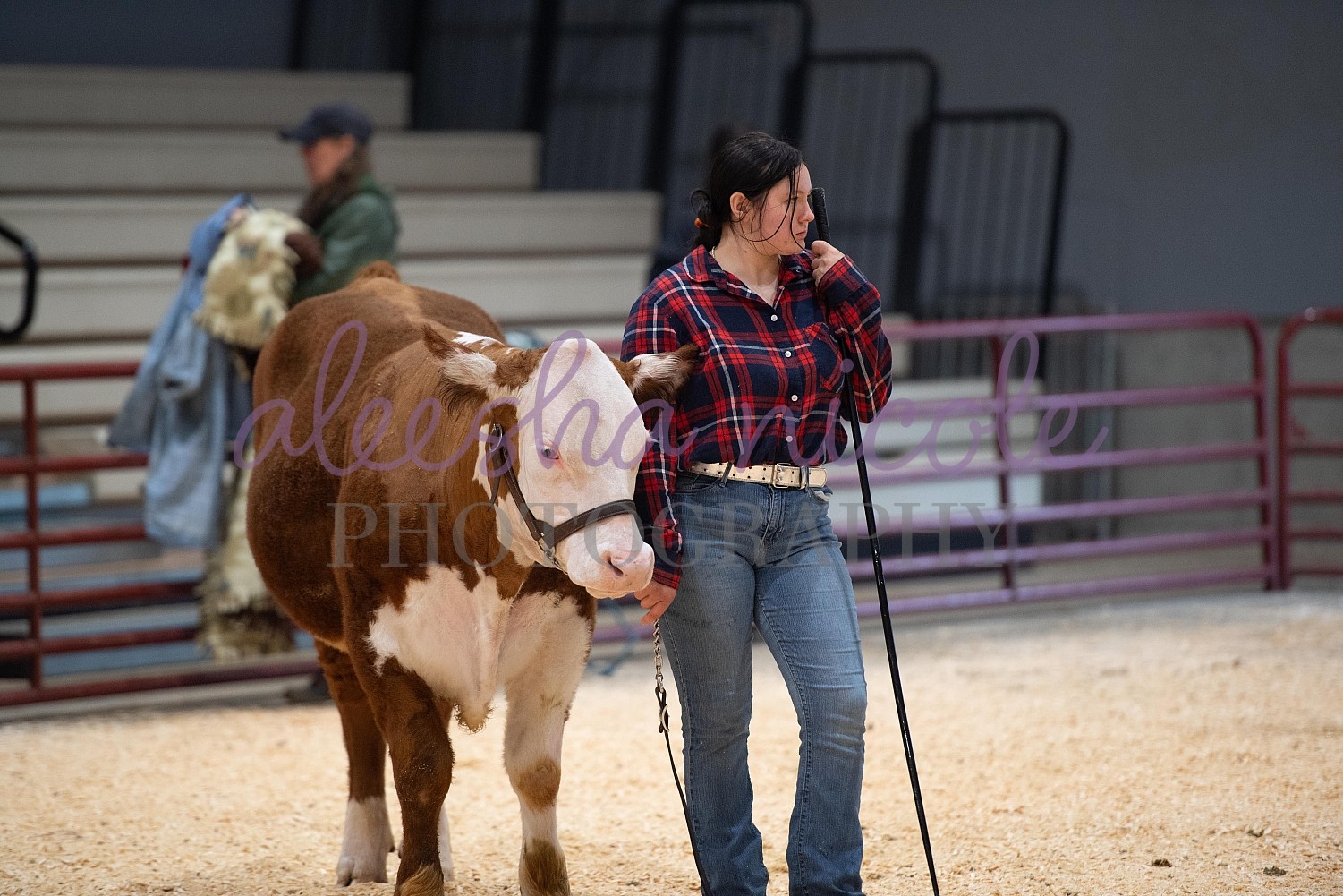 Aleesha Nicole Photography - Youth Steer Ring Shots - Fryeburg Youth ...